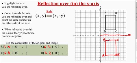 Reflection Graph