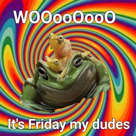 Woah It S Friday My Dudes In Frog Meme Frog Pictures Funny Frogs