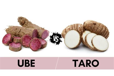 Ube Vs Taro The Ultimate Comparison Quick Recipees