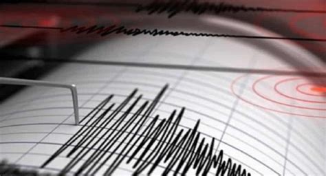PedroBrito2004 On Twitter RT El Carabobeno Registrado Terremoto De