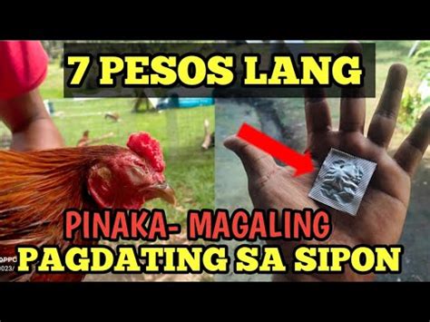 Paano Gamutin Ang Sipon Ng Manok Ano Ang Gamot Sa Sipon Ng Manok