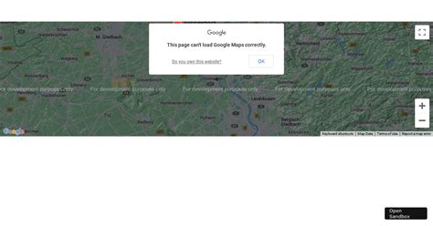 Vue 3 Google Maps Codesandbox