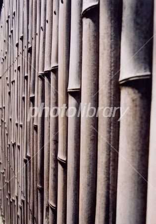 Photolibrary