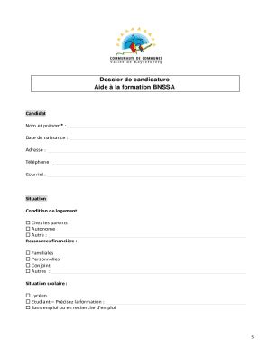 Remplissable En Ligne Dossier De Candidature Aidela Formation BNSSA