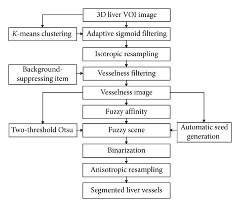 flowchart of the improved fuzzy connectedness method for automatic 3d download scientific