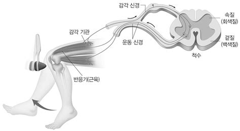 미래엔 엠티처
