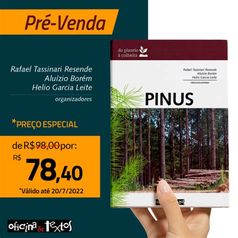 Pragas Que Amea Am O Pinus Conhe A Os Principais Inimigos Das Planta Es