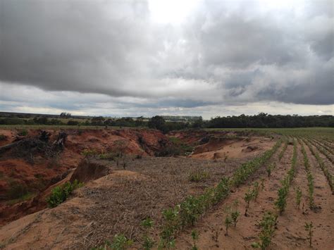 Fazendeira é multada em R 86 mil por não cuidar do solo da propriedade