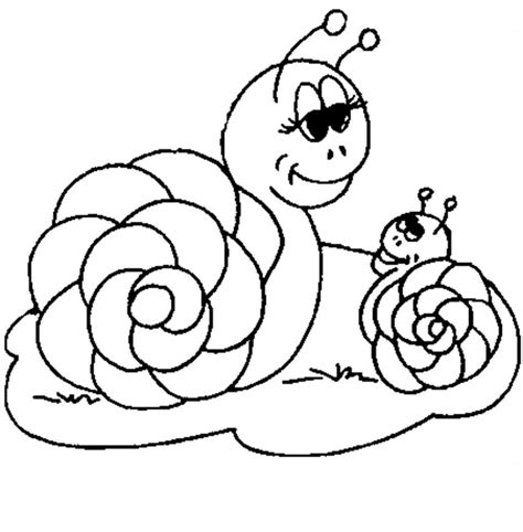 Hugo L Escargot Dessin Ecole