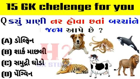 Gk Gk Quiz Gk Questions And Answers Gk Gujarati Video Gk Prashano