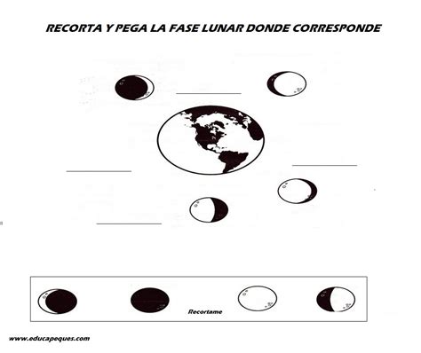 Fases De La Luna Fichas Para Aprender