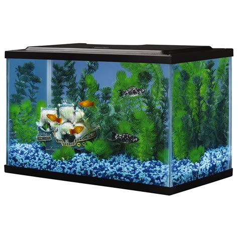 Gallon Terrarium Retail Gbu Presnenskij Ru