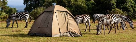4 Days Tanzania Camping Safari Serengeti National Park Ngorongoro Crater