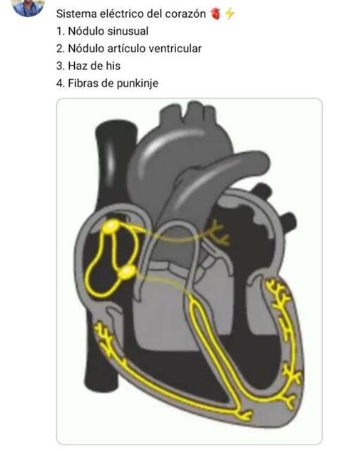 SISTEMA ELECTRICO DEL CORAZON Enfermero Isaias Rivas