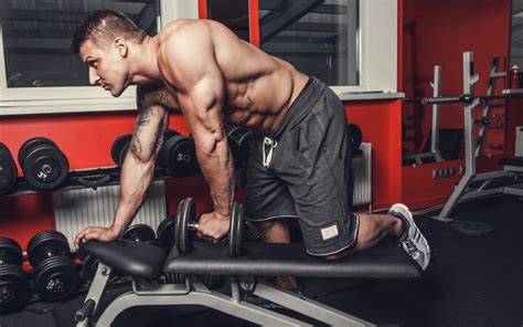 Was ist Beta Alanin alles was Sie wissen müssen Arena Supplements