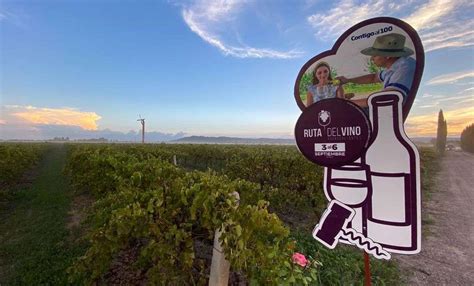 Ruta Del Vino Aguascalientes Dónde Ir Y Qué Hacer
