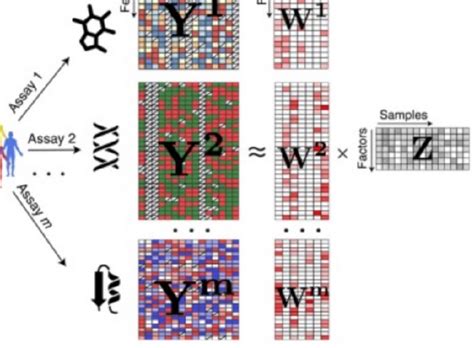 multi omics factor analysis a framework for unsupervised integration of multi omics data sets