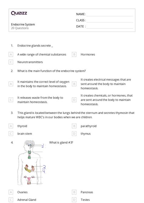 50 The Nervous And Endocrine Systems Worksheets For 11th Grade On