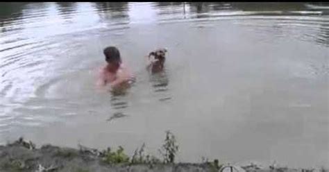 INSOLITE Un chien se jette à l eau pour sauver son maître