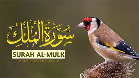 Surah AL Mulk II Surah mulk Tilawat Surah mulk سورة الملك Full