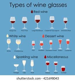 Types Wine Glasses Banner Educational Labeled เวกเตอรสตอก ปลอดคา