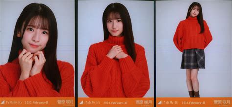 乃木坂46 会場限定ランダム生写真 菅原咲月 2023 February Ⅲ ワンカラーニット コンプ まんだらけ Mandarake