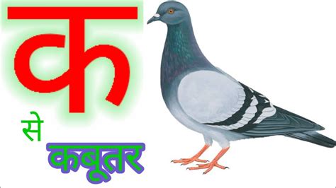 Learn Hindi alphabet हनद वयजन क स कबतर ख स खरगश ग स गमल