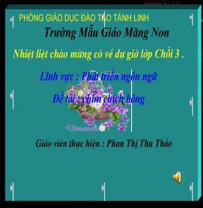 Tho Chim Chich Bong