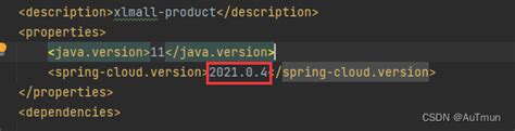 Spring cloud项目启动报错 org springframework cloud bootstrap