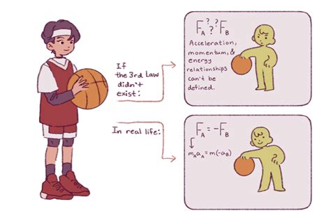 Newton Third Law Of Motion Infographic Diagram Showing