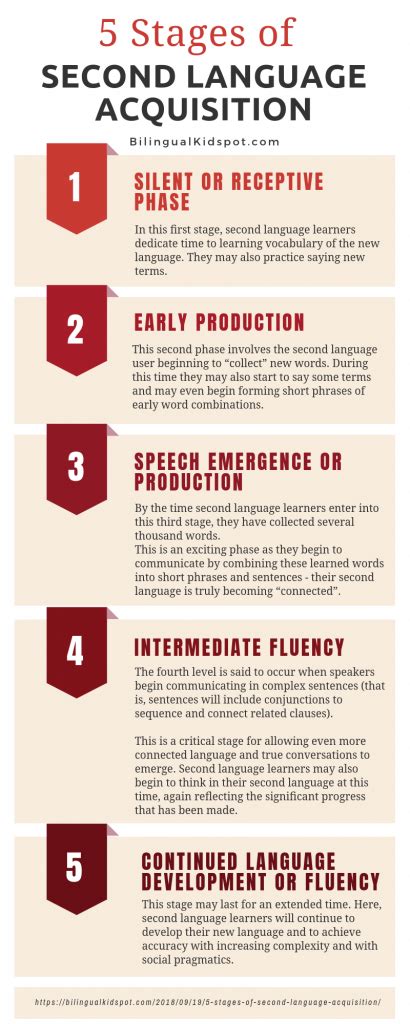 5 stages of second language acquisition infographic