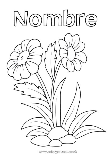 Nº de colorear 1566 Flores Verano Primavera