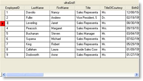 styling active cell row selector and column header appearances infragistics windows forms™ help