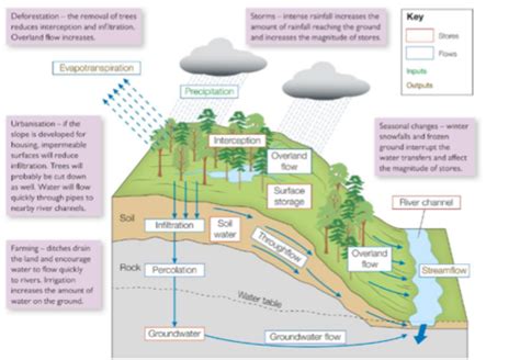 WATER Hillslope Water Cycle Flashcards Quizlet