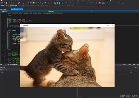 从零开始VS2019 opencv之三步配置 vs使用opencv hpp CSDN博客