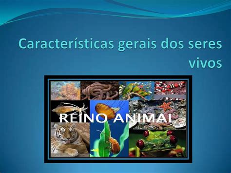 Características gerais dos seres vivos PPT