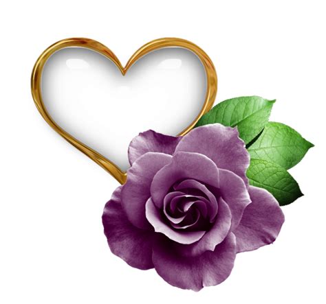 Tubes Coeurs Saint Valentin Png Coeurs Clipart Psp Vecteurs