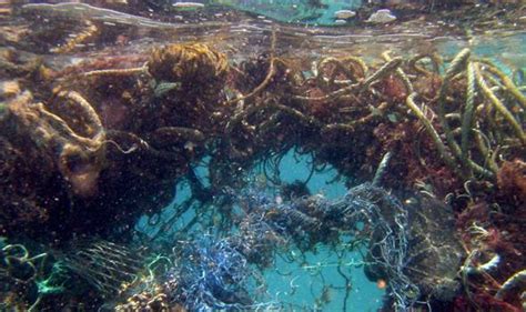 Le 6 isole di plastica più grandi al mondo Corriere it