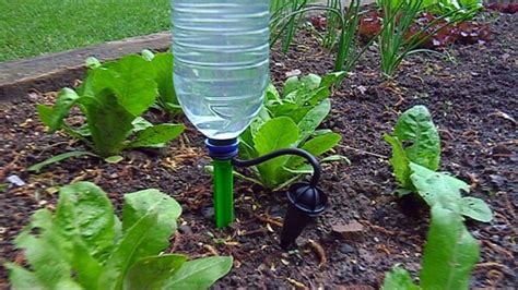 A Water Bottle Sitting On Top Of A Green Hose In The Ground Next To Plants