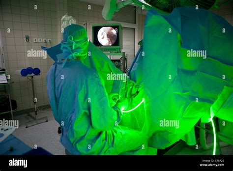 Mänliche Genitalien Fotos Und Bildmaterial In Hoher Auflösung Seite 7 Alamy