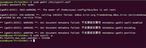 The current inotify 7 watch limit is too low 不及格研究室