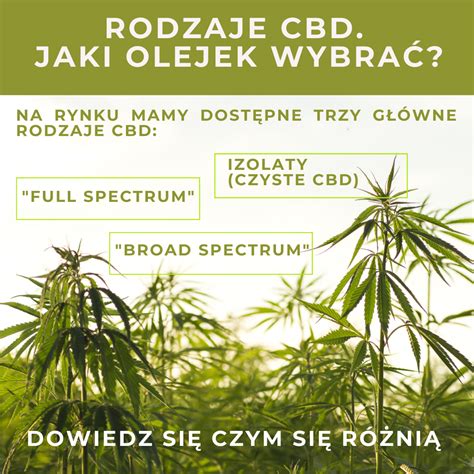 Rodzaje CBD Jaki olejek konopny wybrać Konopna Farmacja