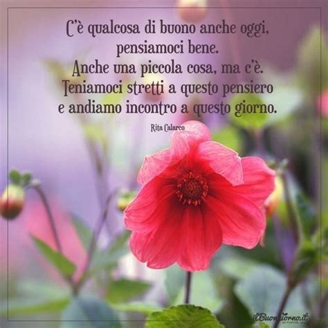 A Pink Flower With Green Leaves In The Foreground And An Italian Quote