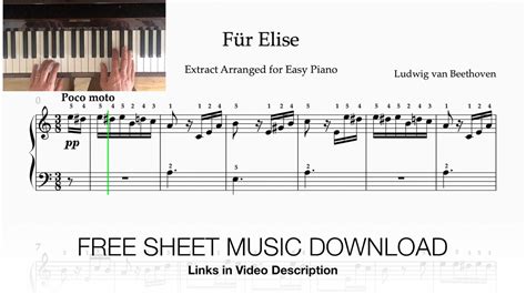 Bản Nhạc Fur Elise Tờ Nhạc Và Hướng Dẫn Activegaliano org