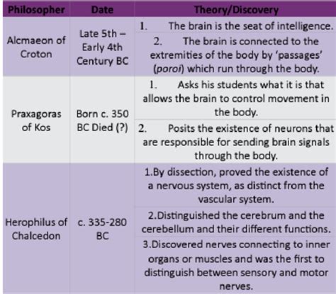 Neuroscience Past Present Future Flashcards Quizlet