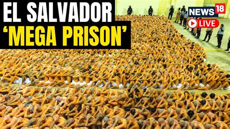 First 2000 Inmates Moved To El Salvador S New Mega Prison US News