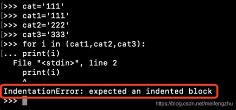 [solved] python error indentationerror expected an indented block programmerah