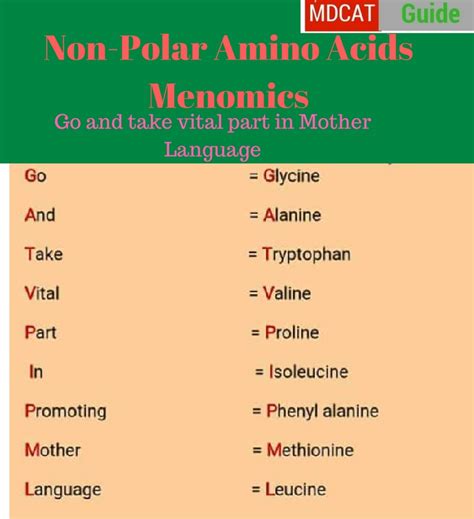 Mnemonic For Hydrophobic Amino Acids Aulasopa