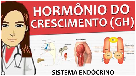Sistema Endócrino 07 GH Hormônio do Crescimento Fisiologia Vídeo