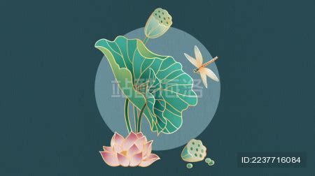 国潮中国风花卉荷花插画 站酷海洛 正版图片 视频 字体 音乐素材交易平台 站酷旗下品牌